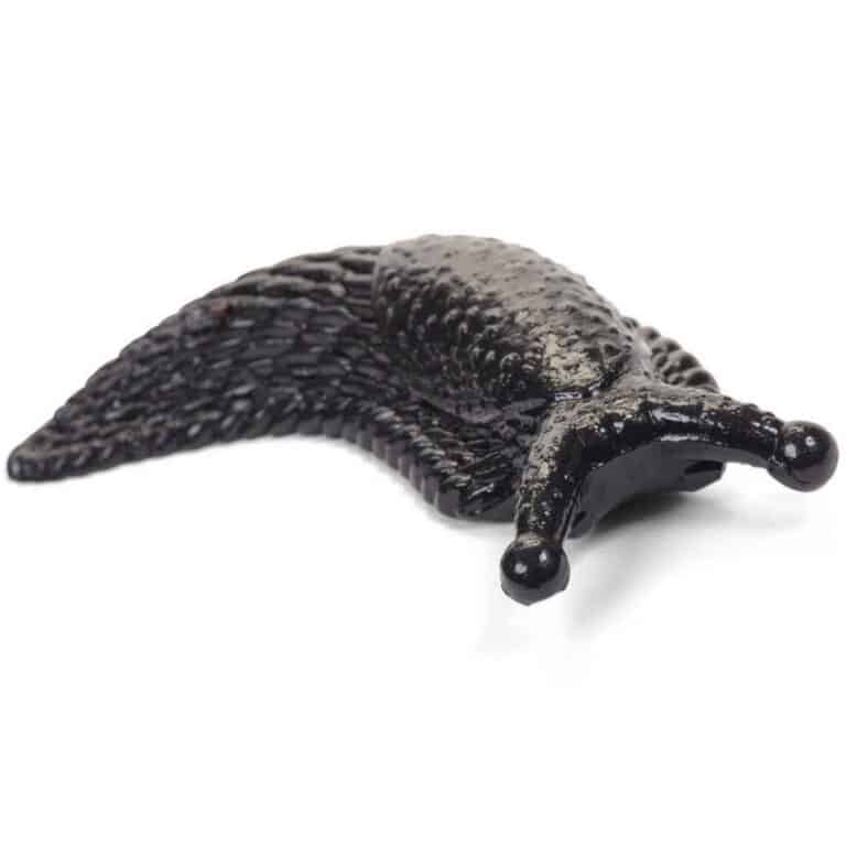 Sticky Slug - Kauwsieraden & meer